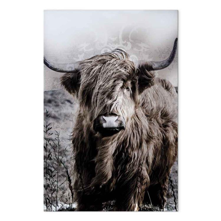 Obrazy byk, obraz byka, byk obrazy, obraz z bykiem, obrazy byk na ...