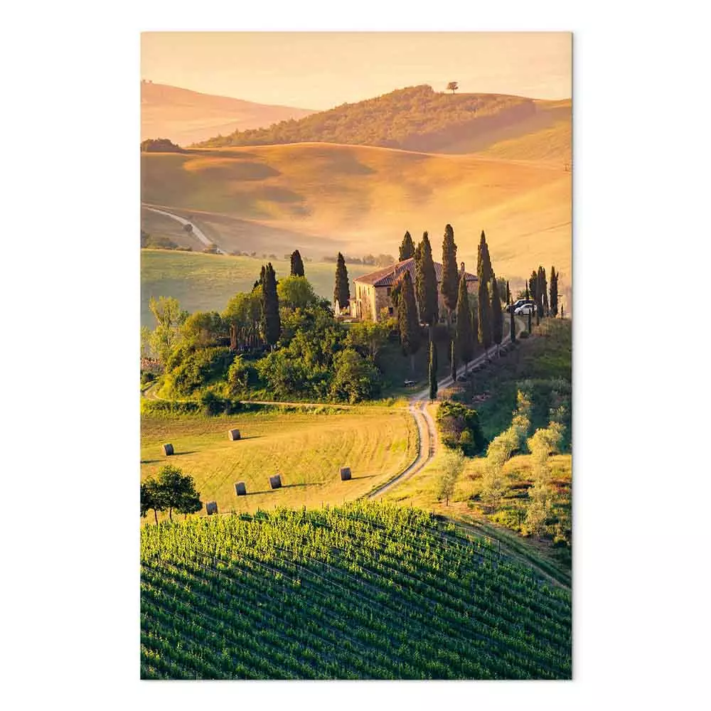 Obraz Słoneczne pola Toskanii - fotografia pejzażu o zachodzie słońca ...