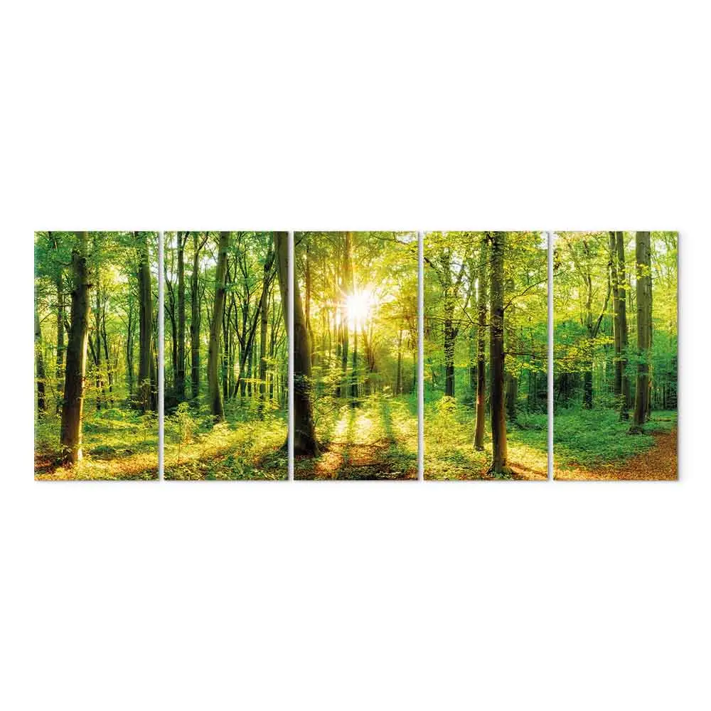 Obraz Magiczny las drukowany na płótnie na ścianę - Las - sklep bimago